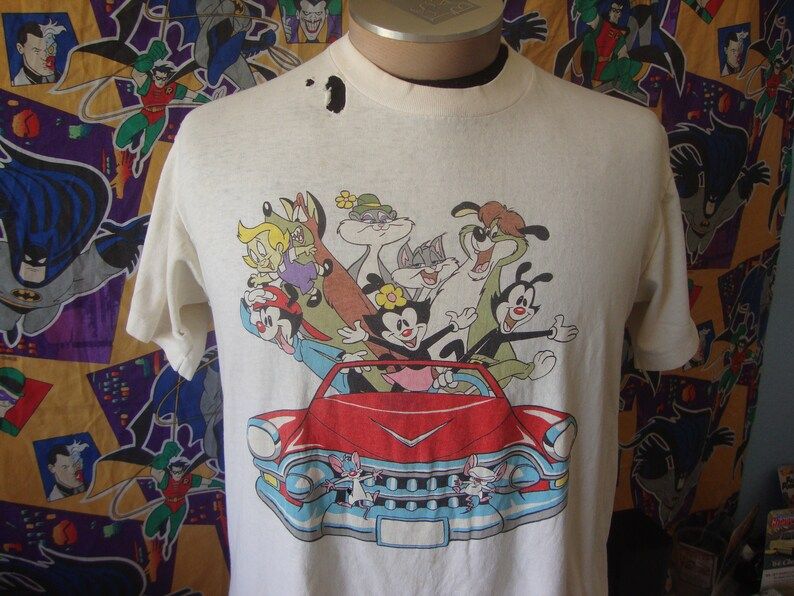 Vintage 90S Animaniacs Cartoon 1993 Thrashed - StanyStore